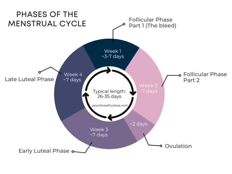 Guide to Cycle Syncing - Pearl Lee, PharmD, IFMCP